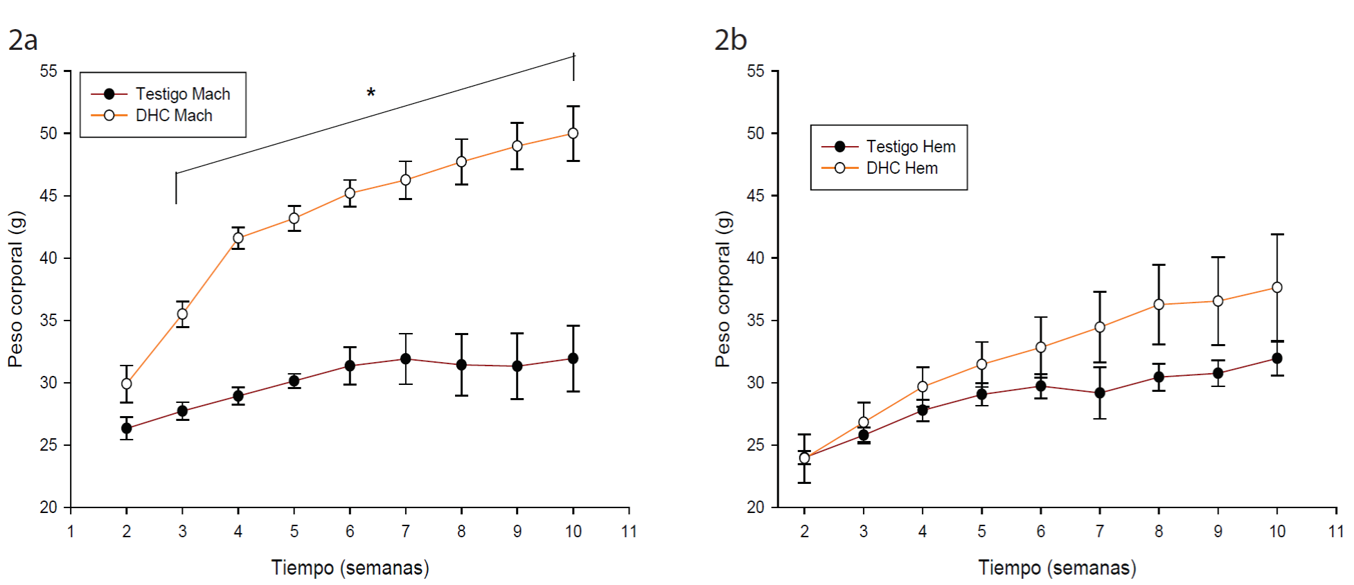 Proposal for a metabolic syndrome model in CD1 mice induced with a ...