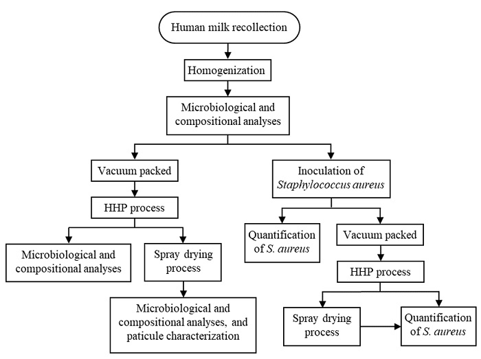 Staphylococcus aureus inactivation and maintenance of macronutrients of ...