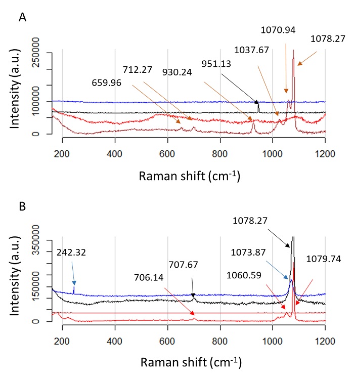 Effect of ion and protein concentration of Ps19, a shell protein from ...