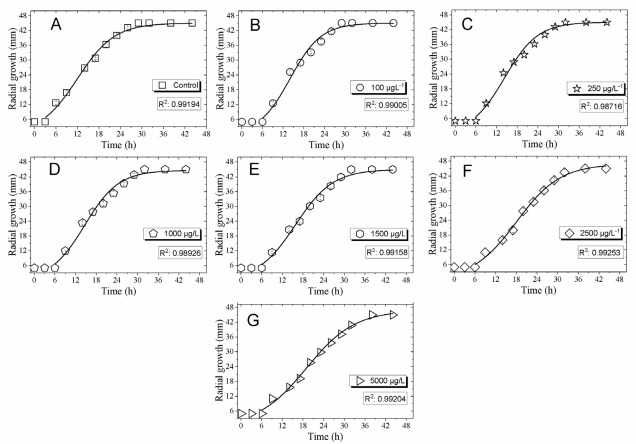 Modeling radial growth of Amylomyces rouxii and its tolerance to ...