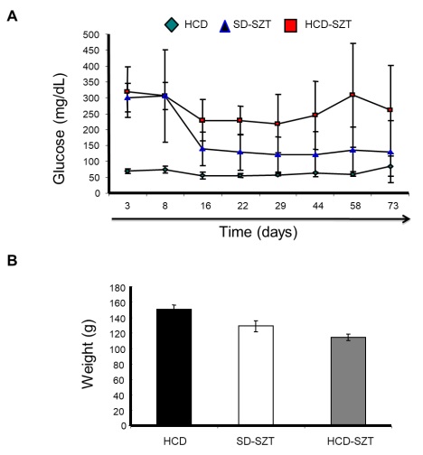 Renal physiopathologic changes in diabetic Golden-Syrian hamsters ...