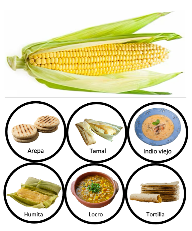 Fortified Maize Tortilla From The Traditional Mesoamerican Diet To