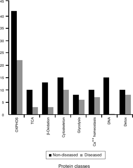 Mitochondrial proteomic profile of complex IV deficiency fibroblasts ...