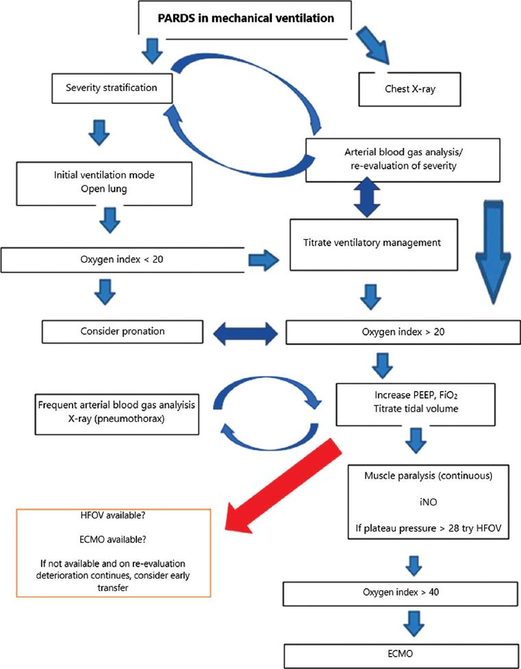 Pediatric acute respiratory distress syndrome: How to protect the lungs ...