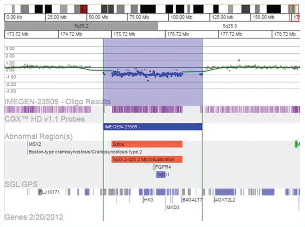 Fenotipo clínico mixto de deleción y duplicación de la región del ...