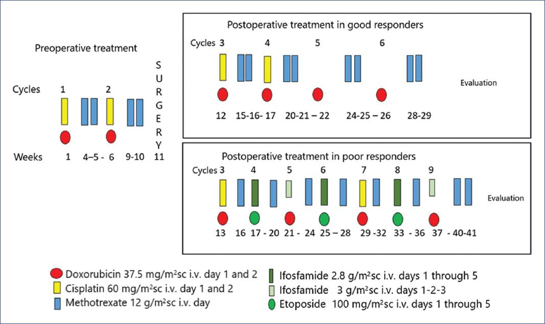 Response to neoadjuvant chemotherapy and survival of children and ...