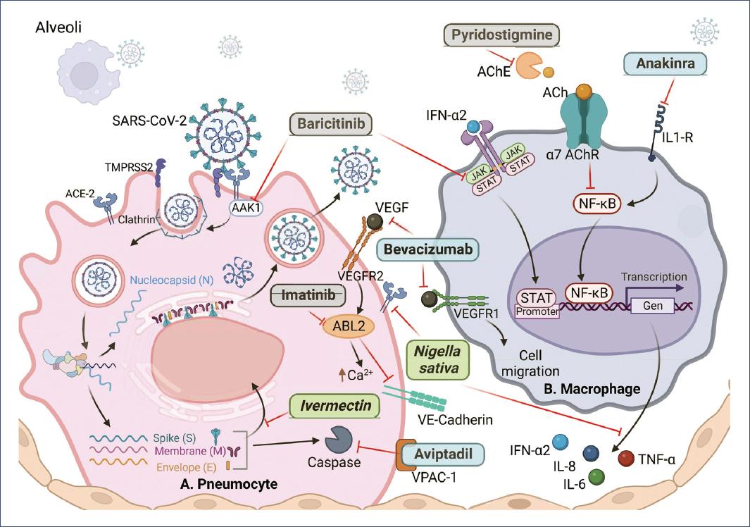 Drugs and natural products for the treatment of COVID-19 during 2020 ...