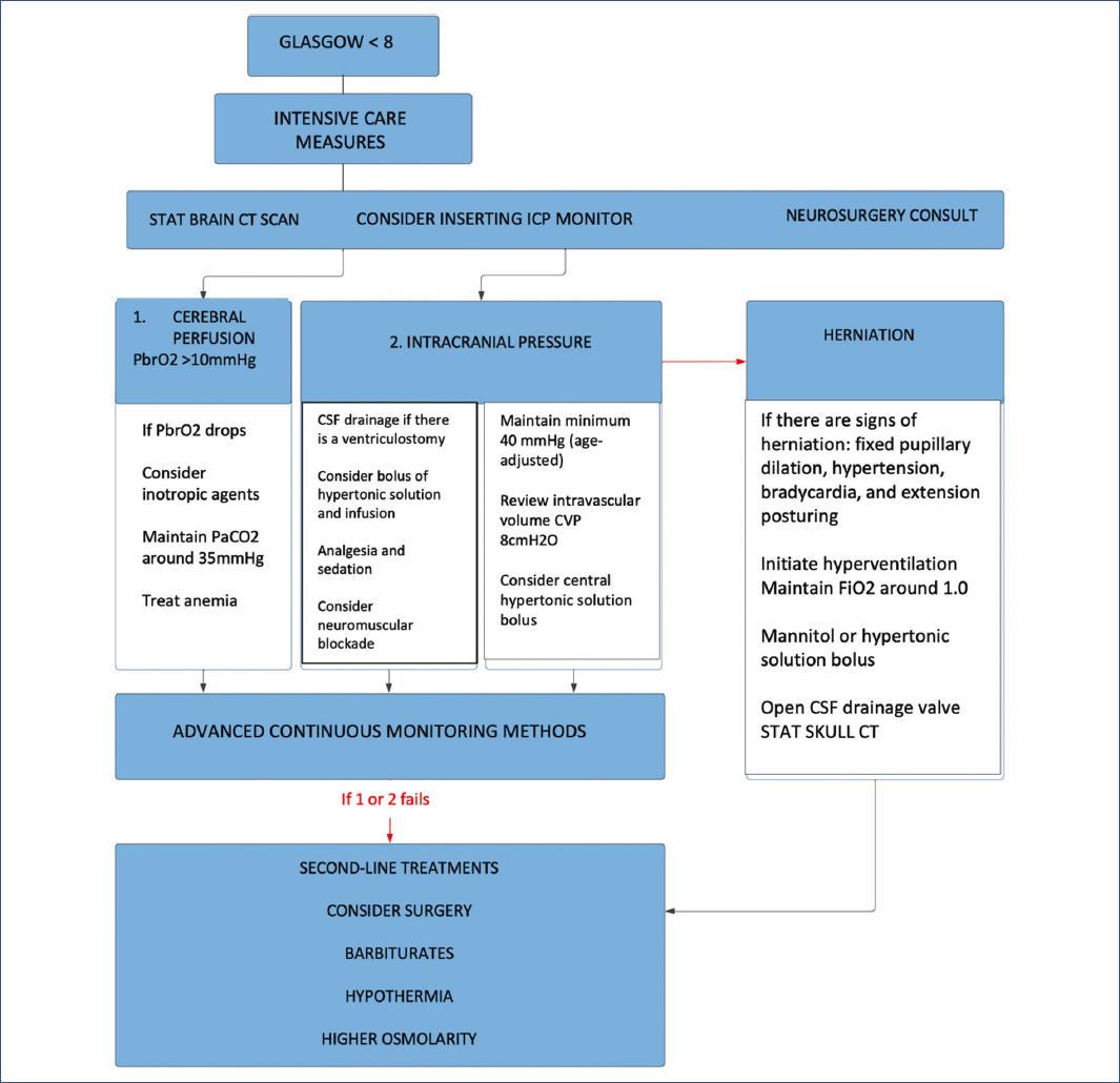 Scientific evidence in the management of traumatic brain injury in ...