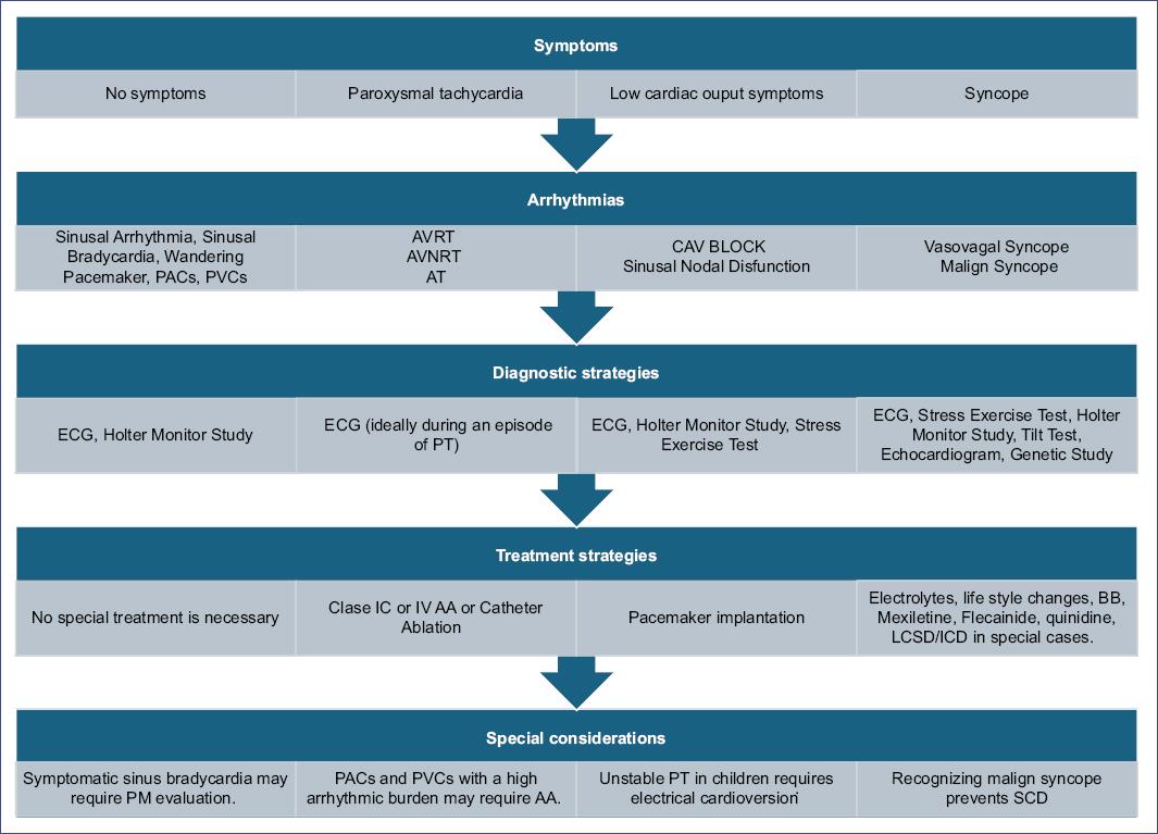 Pediatric arrhythmias: a comprehensive integrative review, symptom ...