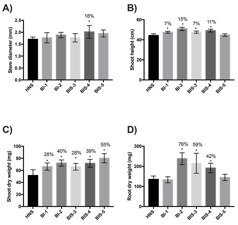 Plant growth-promoting bacteria belonging to the genera Pseudomonas and ...