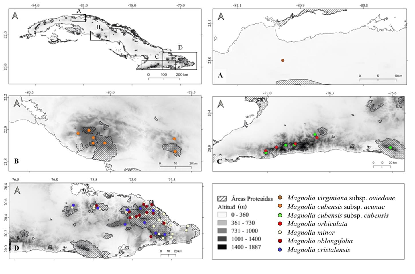 Distribución y conservación de Magnolia (Magnoliaceae) en Cuba