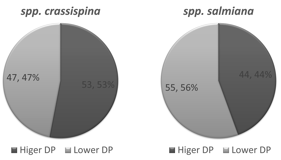 Molecular weight distribution of fructans extracted from Agave salmiana ...