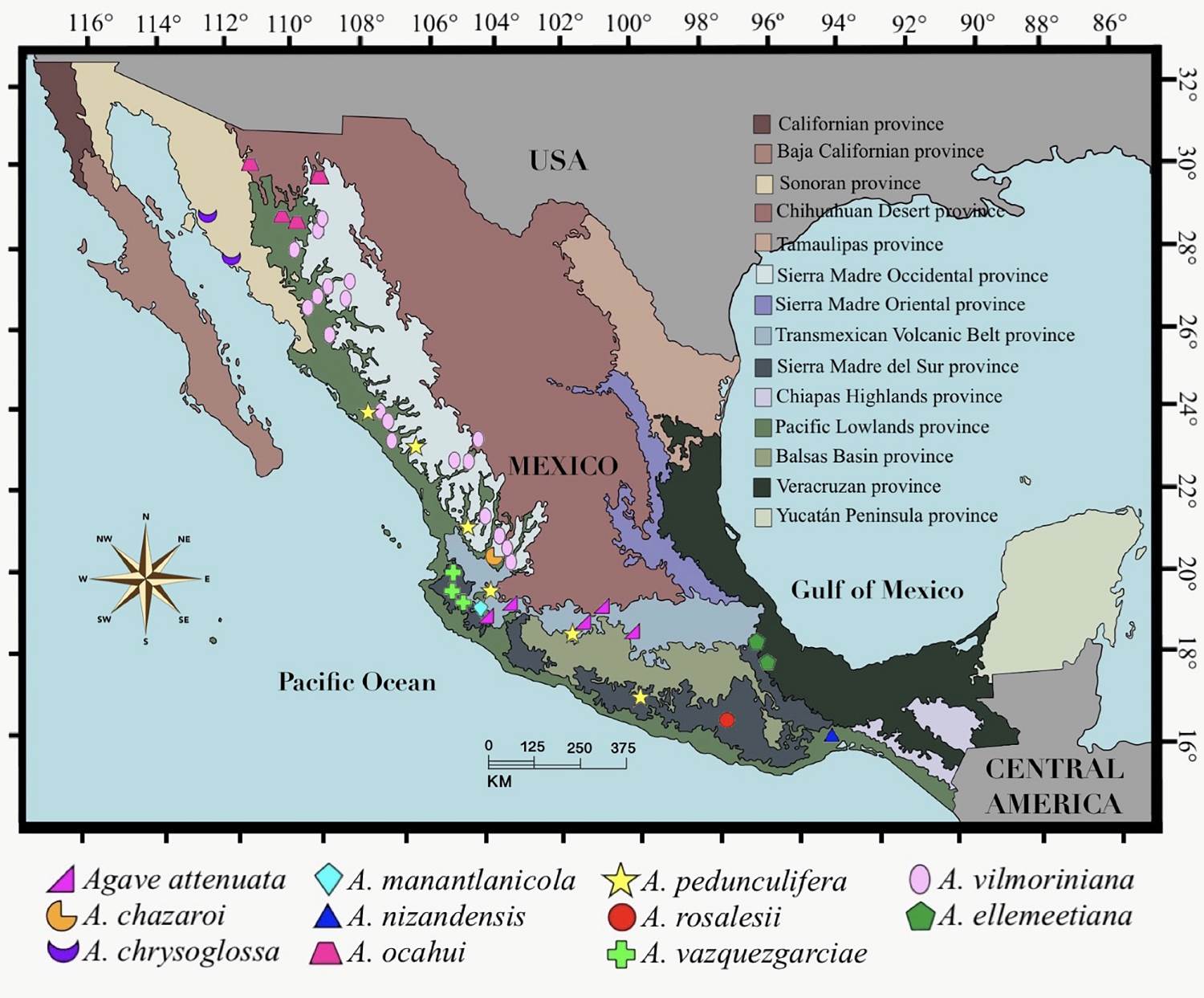 Agave rosalesii (sect. Inermes, Asparagaceae), segregated from Agave ...