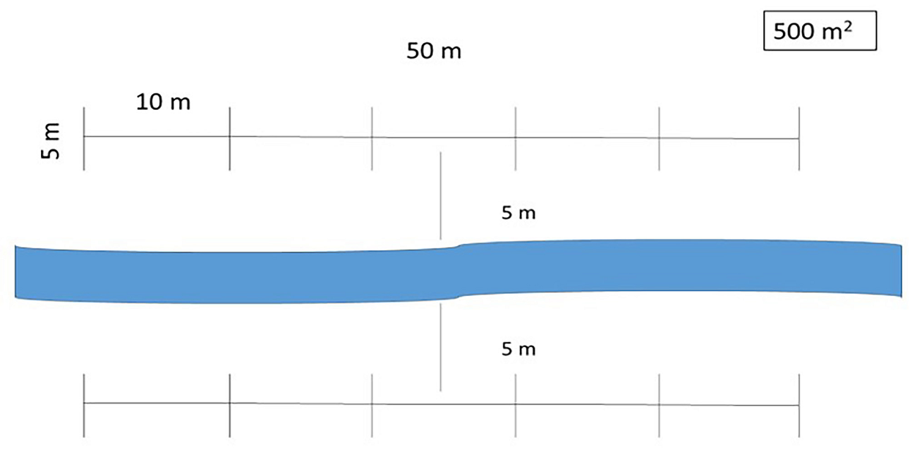 Biodiversity of riparian vegetation under a management gradient in the ...
