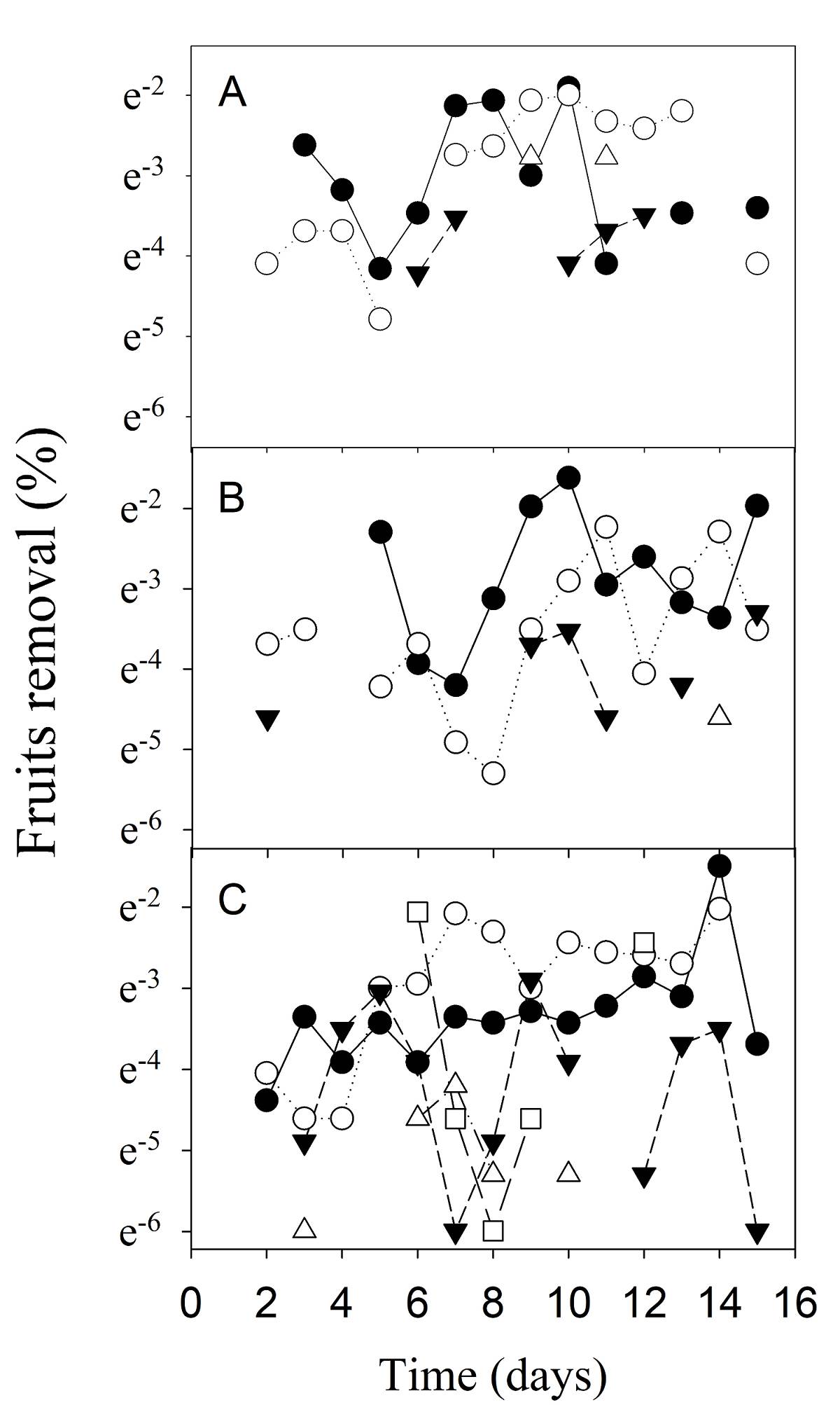 Pattern of post-dispersal fruit removal of Persea hintonii C.K. Allen ...