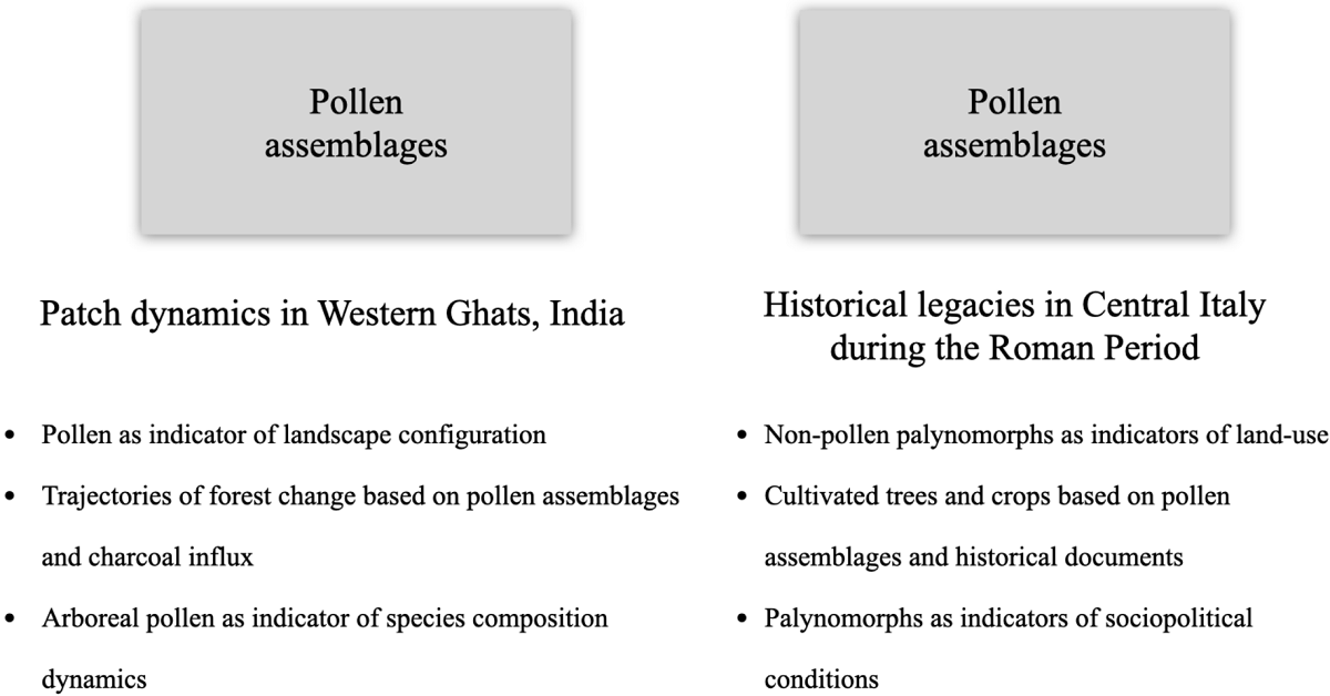 Understanding perspectives of current palynology: using science with ...