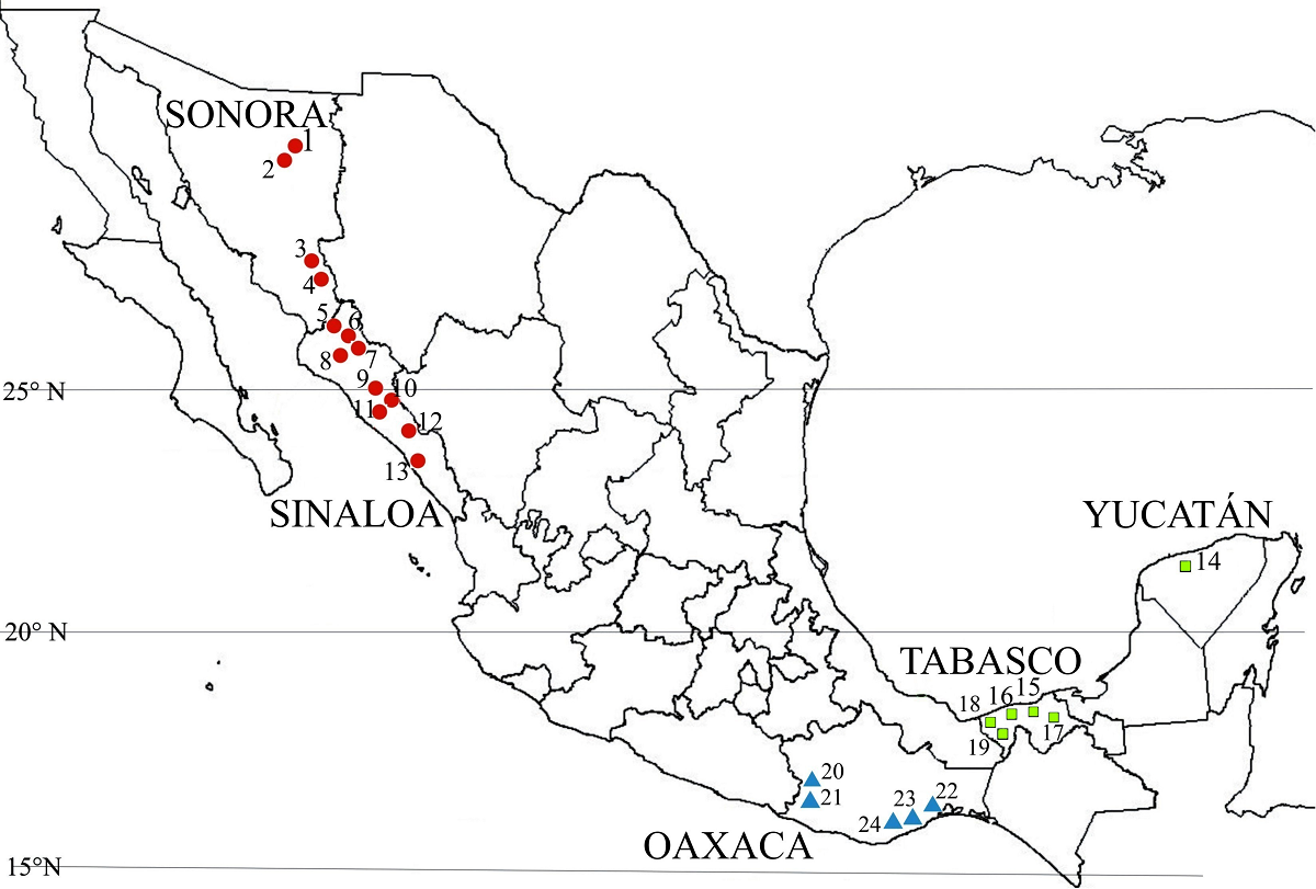 Phenotype differentiation of Capsicum annuum var. glabriusculum of ...