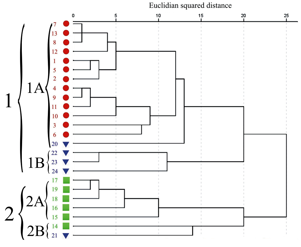 Phenotype differentiation of Capsicum annuum var. glabriusculum of ...