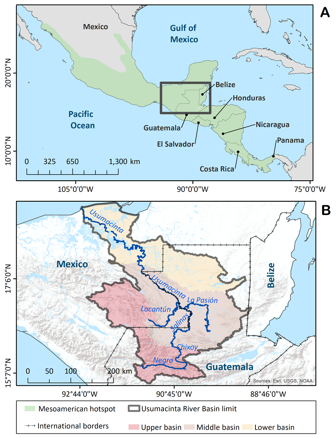 High vascular plant species richness in the Usumacinta River Basin: a ...