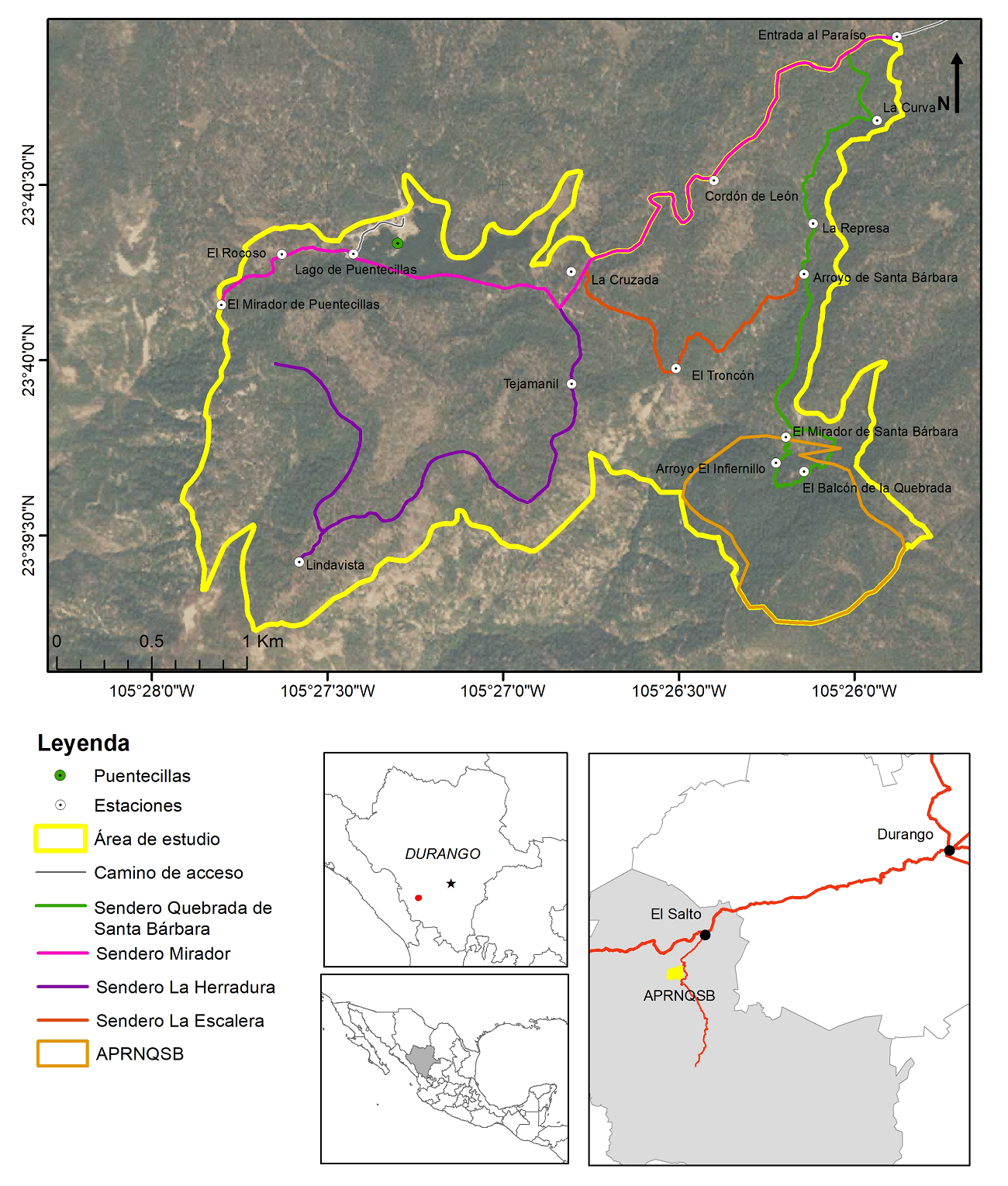 Flora vascular y vegetación del Área de Protección de Recursos ...