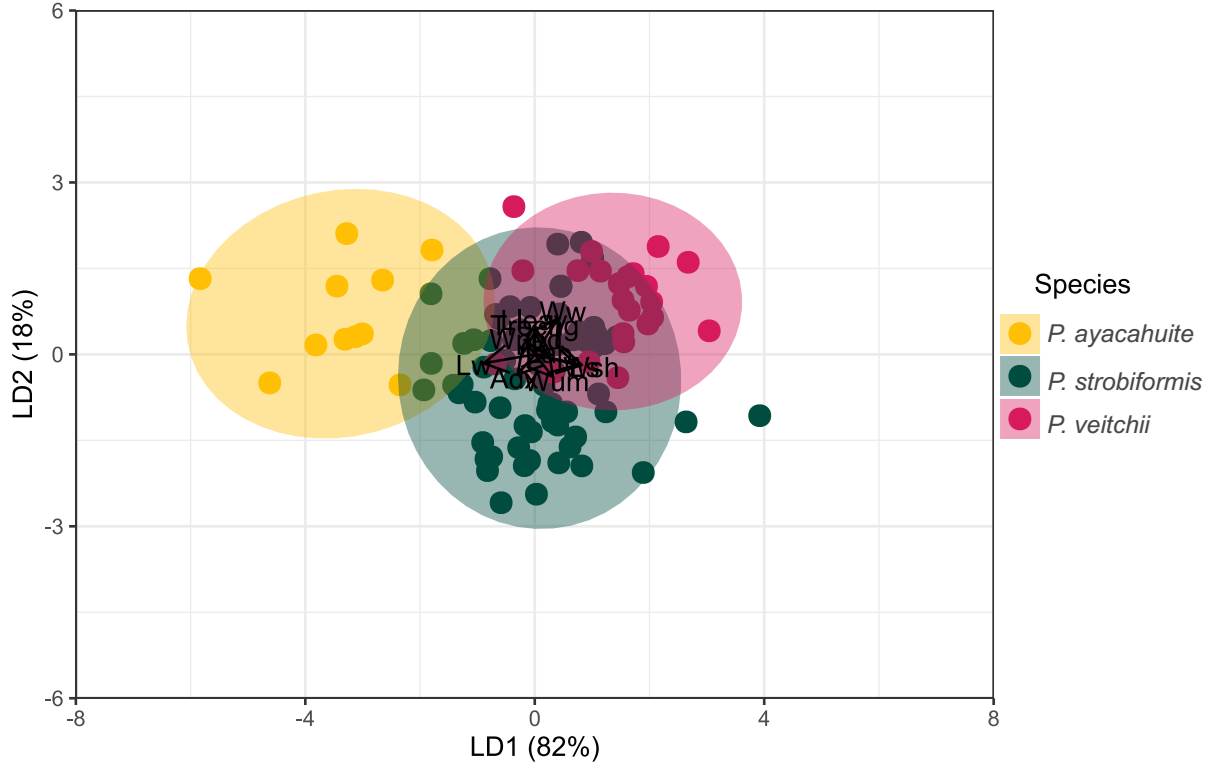 Species delimitation using multiple sources of evidence from the Pinus ...