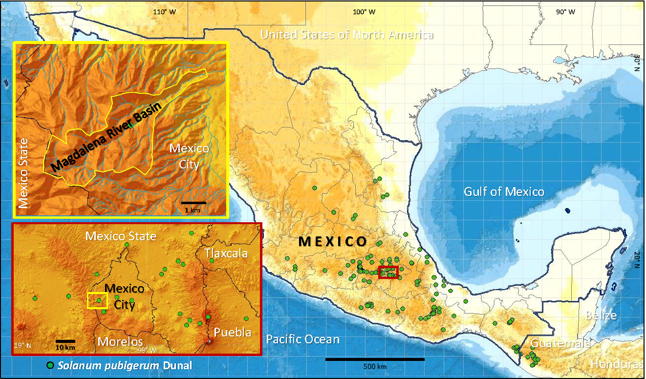 Assessing ecological traits of a secondary vegetation species in ...