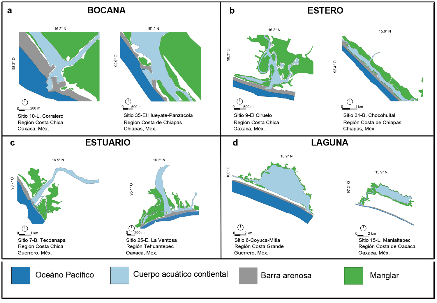 Patrones estructurales de los manglares en geoformas y regiones del ...