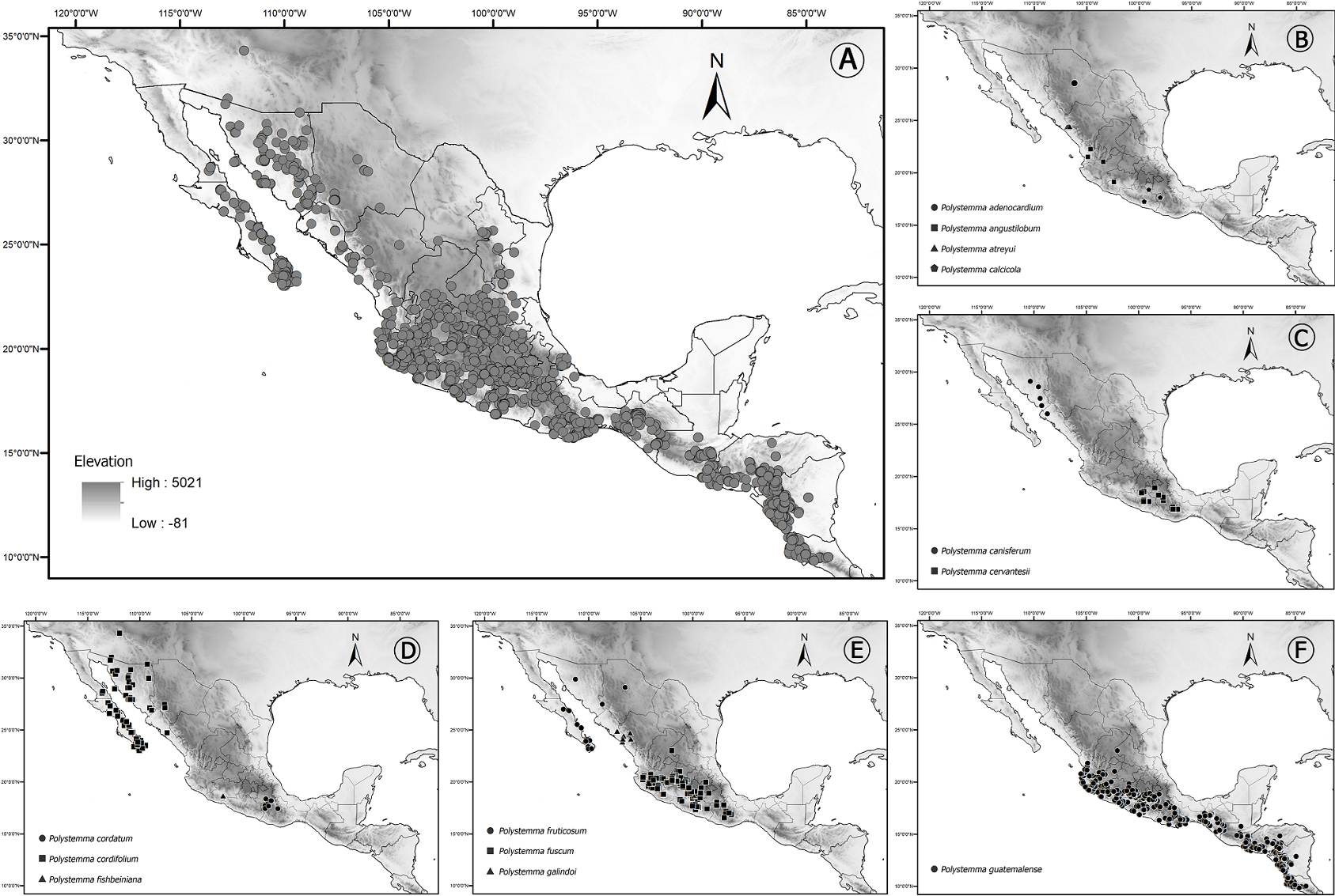 Synopsis of the genus Polystemma (Apocynaceae, Asclepiadoideae) and ...