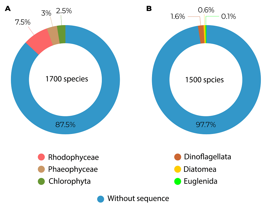 Phylospecies in the Mexican marine algal diversity and the problem of ...