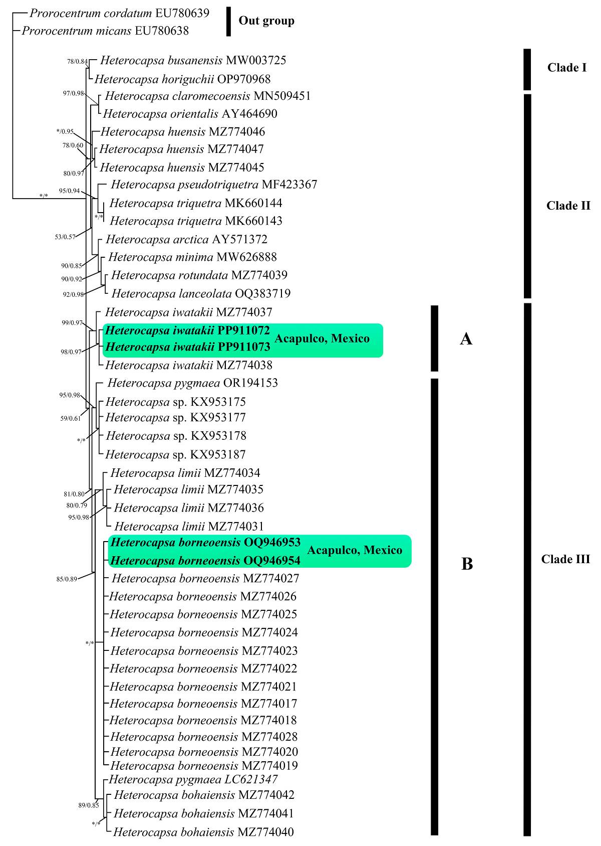 Species of the thecate dinoflagellate genus Heterocapsa (Dinophyceae ...