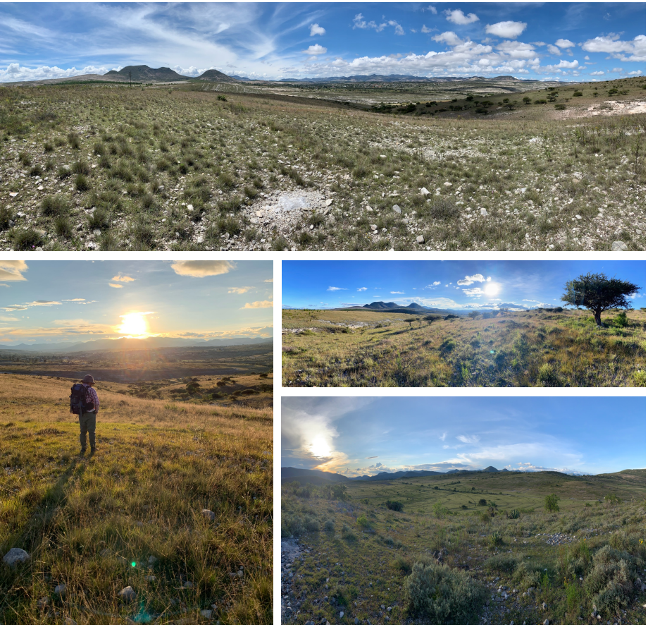 Biodiversidad de las praderas templadas del norte de Oaxaca, México