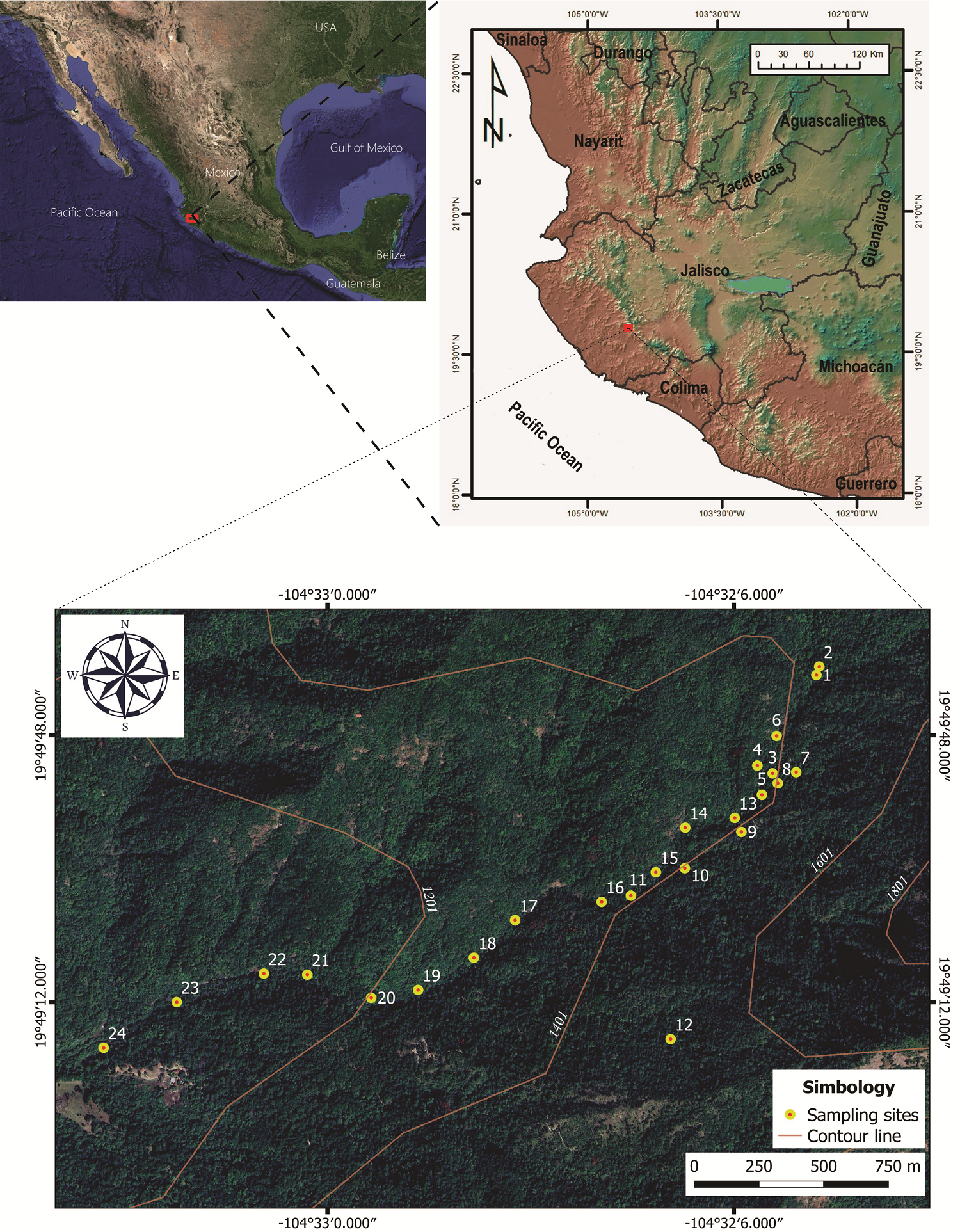 Lack of vertical and horizontal floristic congruence in Quercus ...