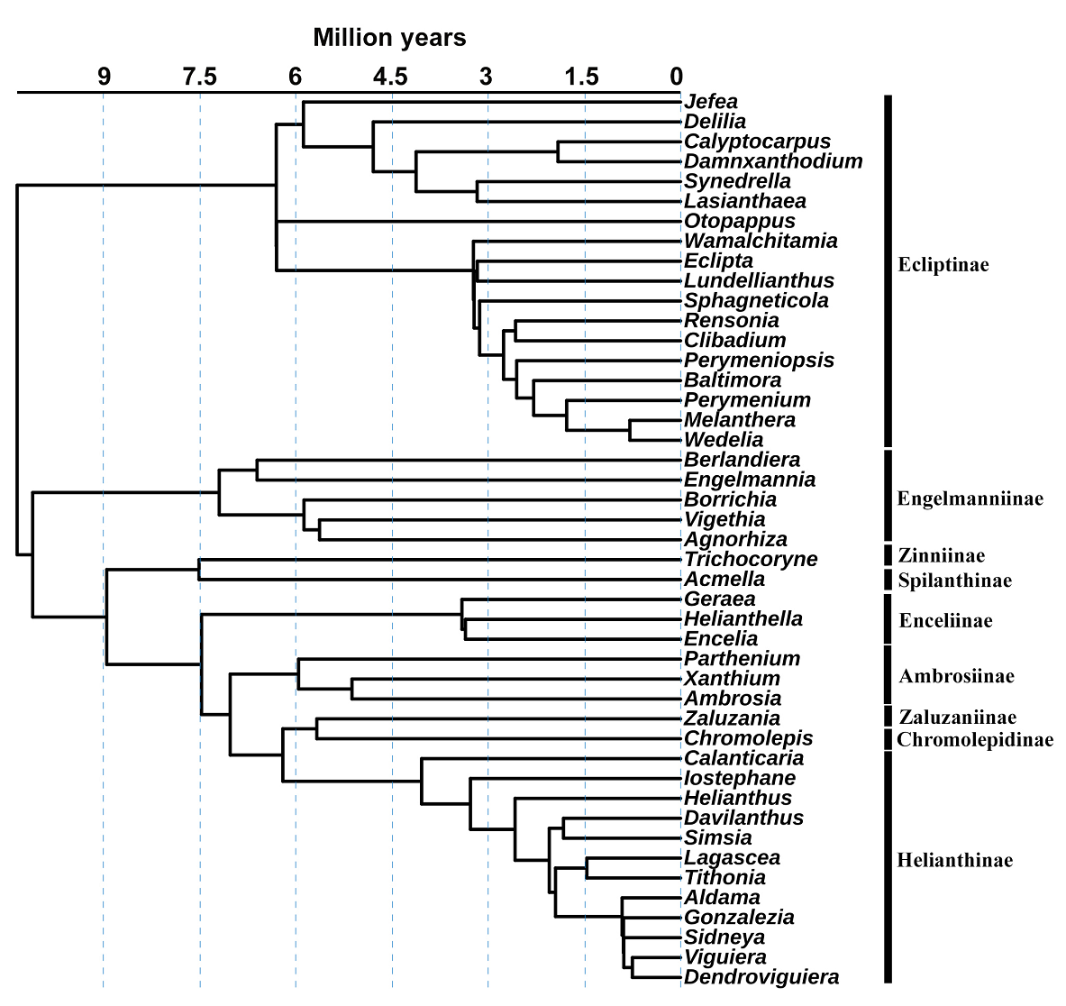 Spatial and phylogenetic distribution of the genera of the Heliantheae tribe (Asteraceae) in Mexico