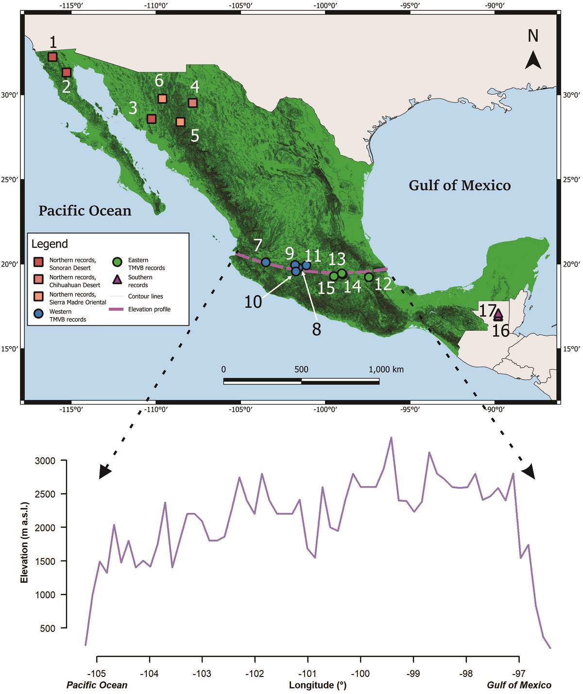 Vegetation responses to paleoclimatic changes in Mexico: a review of ...