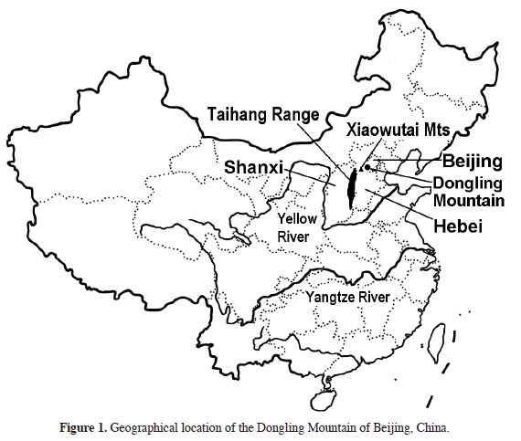 Functional diversity and conservation of Phellodendron amurense ...