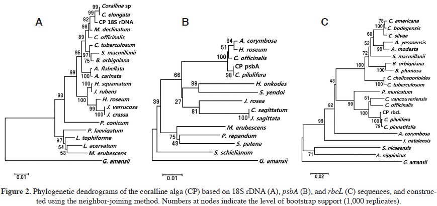 Viability, fatty acid composition, and structure of the coralline alga ...