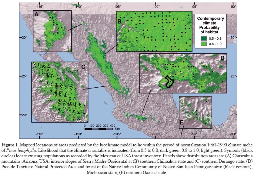 Pinus leiophylla suitable habitat for 1961-1990 and future climate
