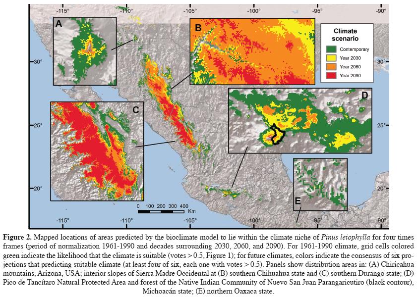 Pinus leiophylla suitable habitat for 1961-1990 and future climate