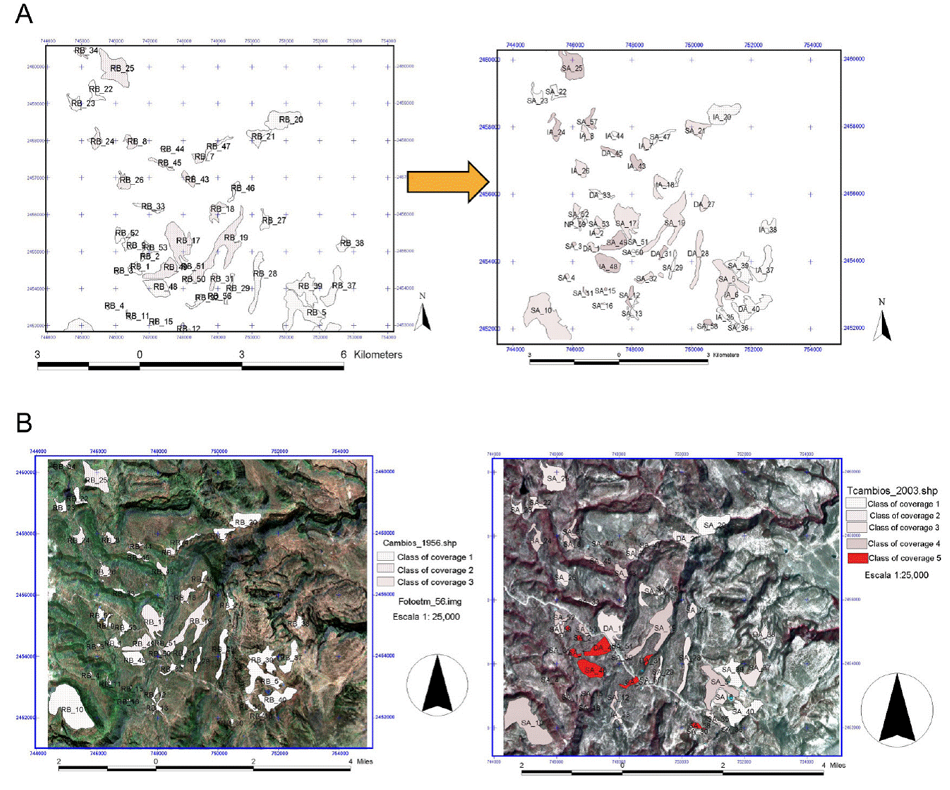 Vegetation patch dynamics and tree diversity in a conifer and oak ...