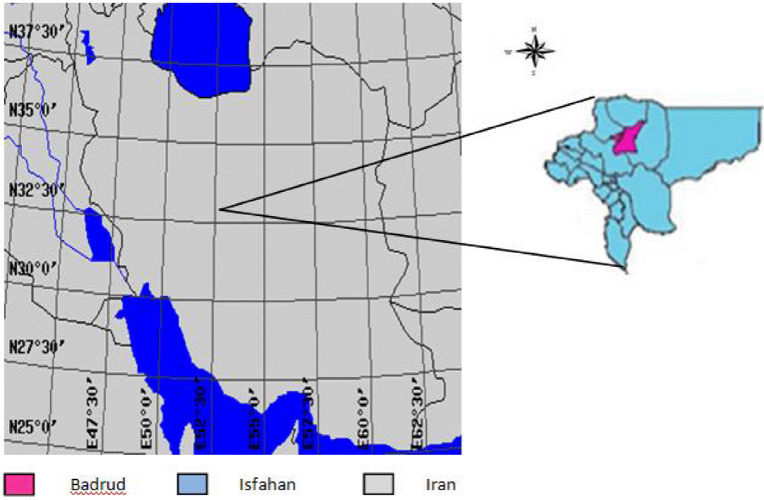 An analysis of vegetation and species diversity patterns in sand dune ...