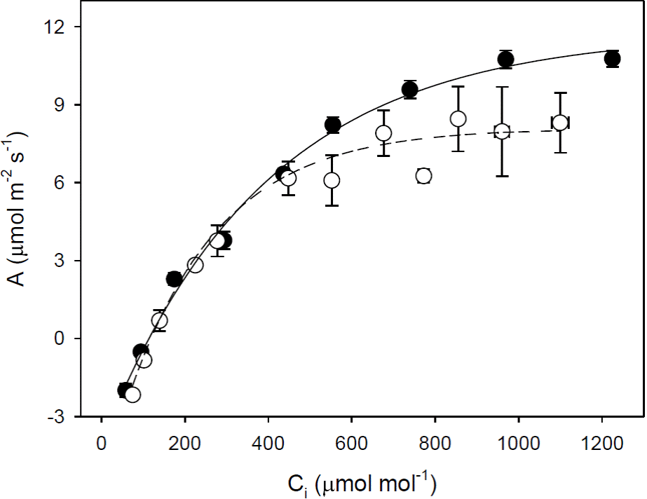 Does Criollo cocoa have the same exophysiological characteristics as ...