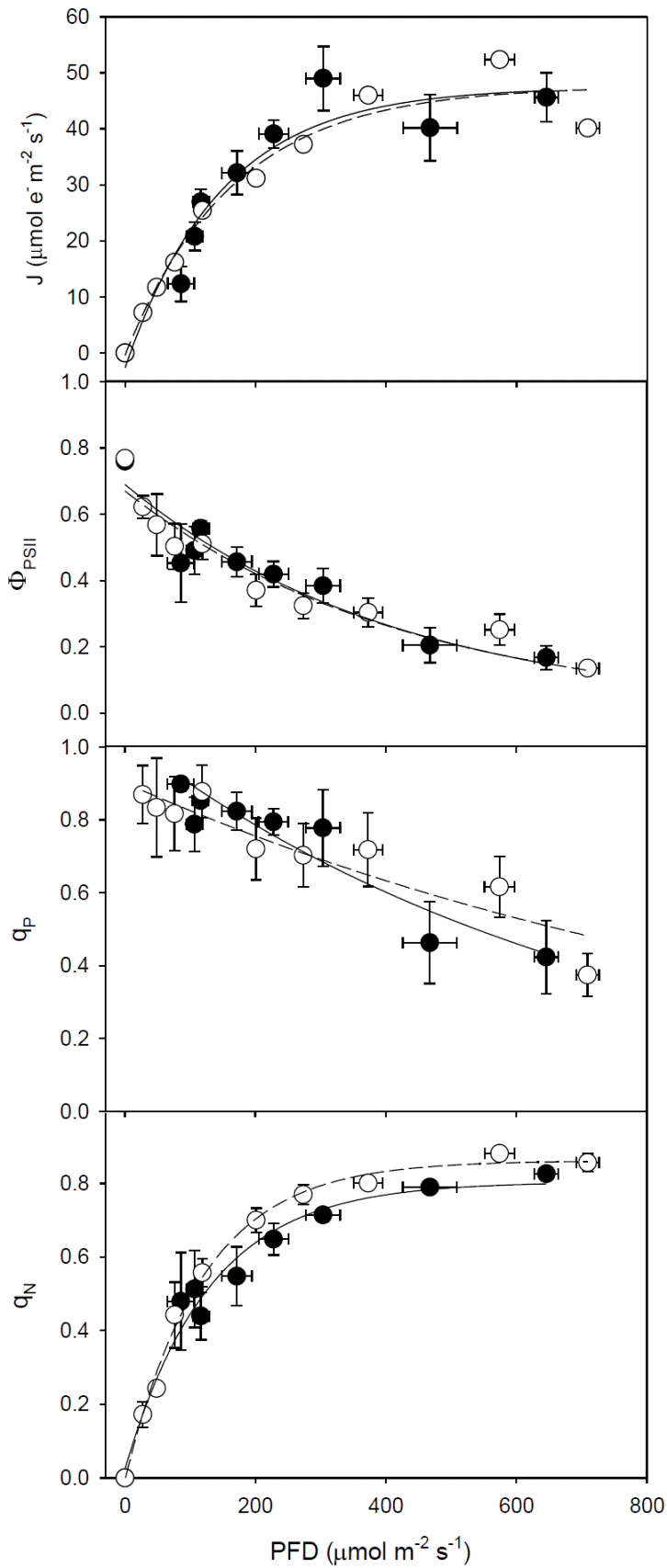 Does Criollo cocoa have the same exophysiological characteristics as ...