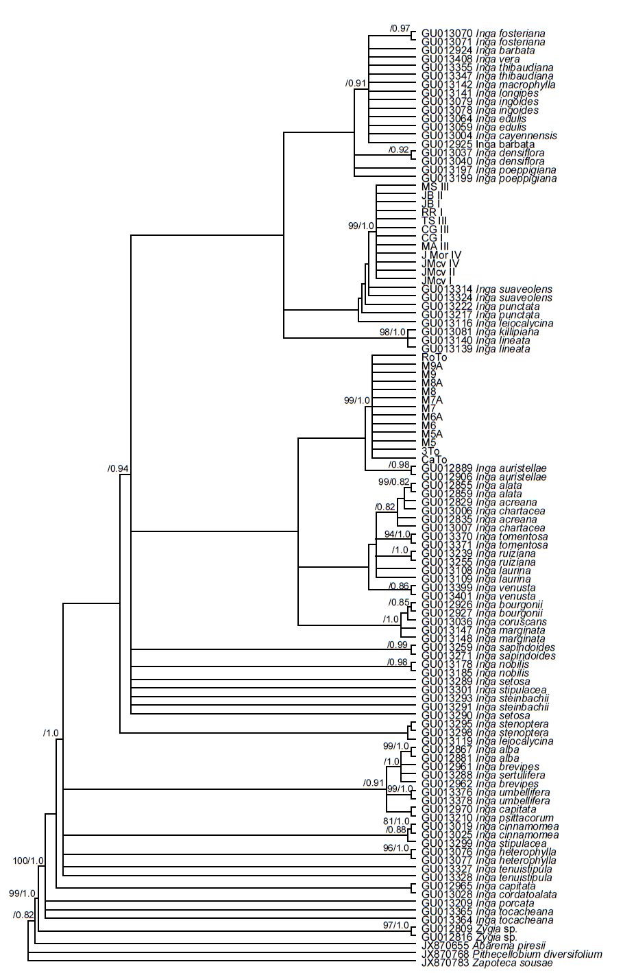 DNA sequence variation in the fruit tree Inga inicuil (Leguminosae ...