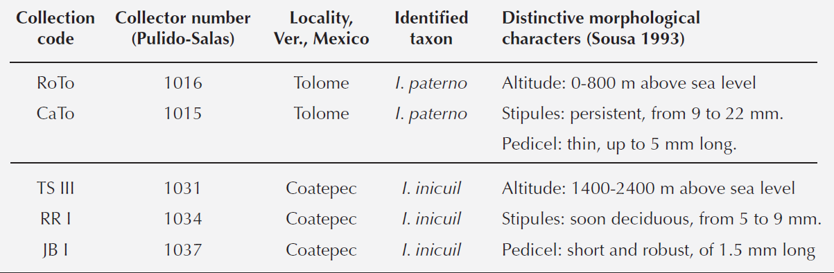 DNA sequence variation in the fruit tree Inga inicuil (Leguminosae ...