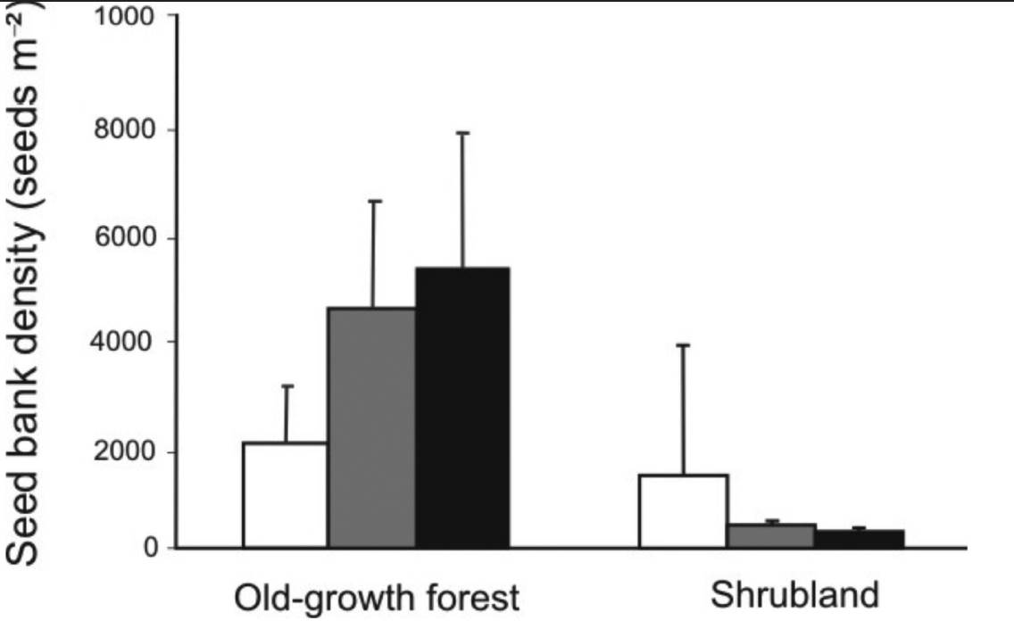 The Andean Forest Soil Seed Bank in Two Successional Stages in ...