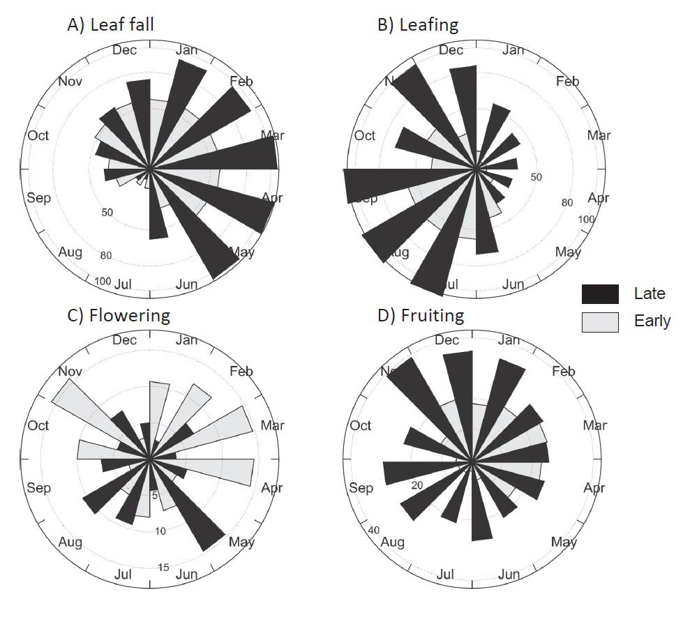 Vegetative and reproductive tree phenology of ecological groups in a ...