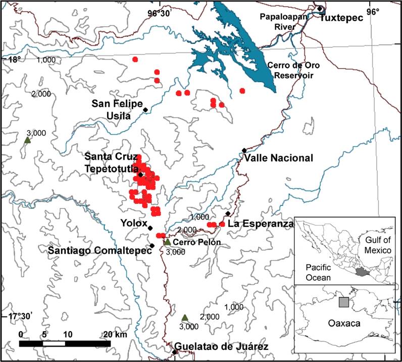 Checklist of the vascular flora of a portion of the hyper-humid region ...