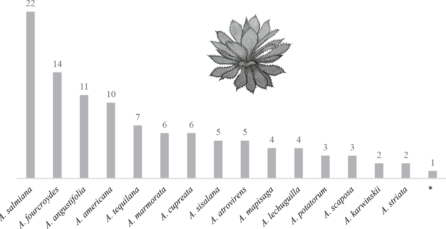 The genus Agave in agroforestry systems of Mexico