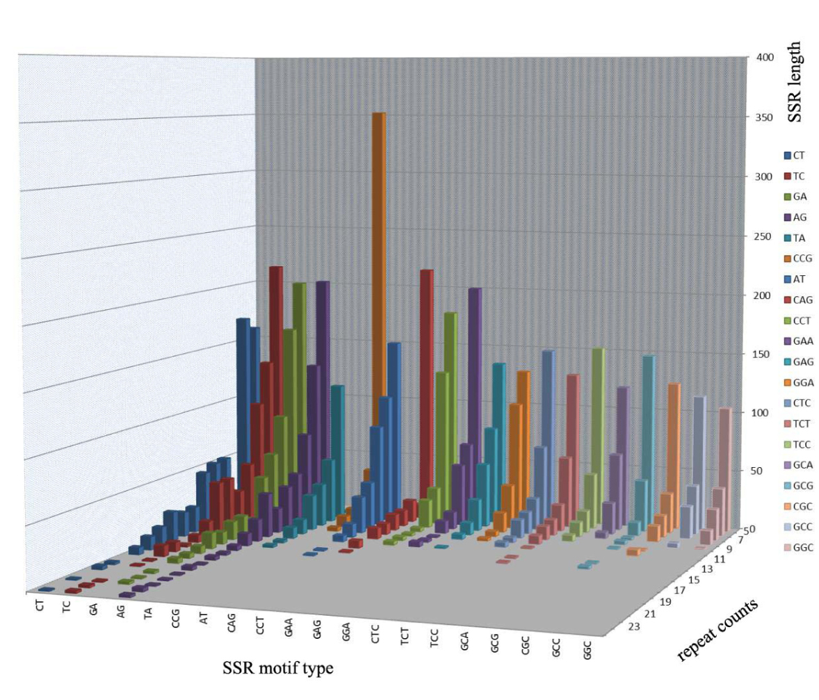 Development of SSR markers and their application to genetic diversity ...