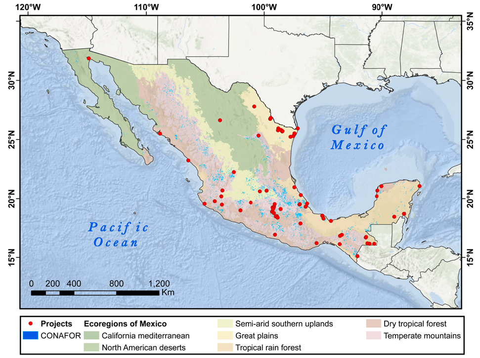 Ecosystem restoration in Mexico: insights on the project planning phase